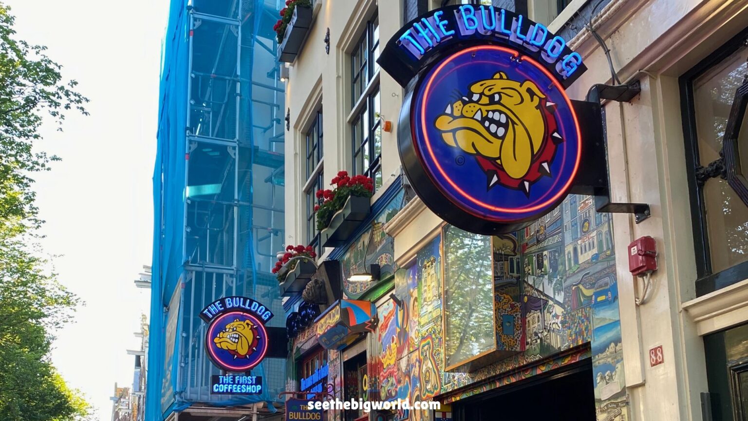 Amsterdam Coffee Shops – Cannabis Experience for Beginners