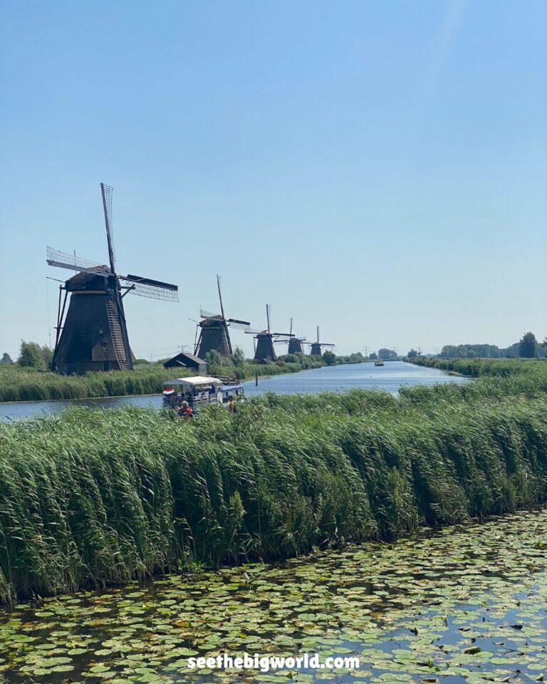 Kinderdijk Day Trip from Rotterdam｜Transport & Tips